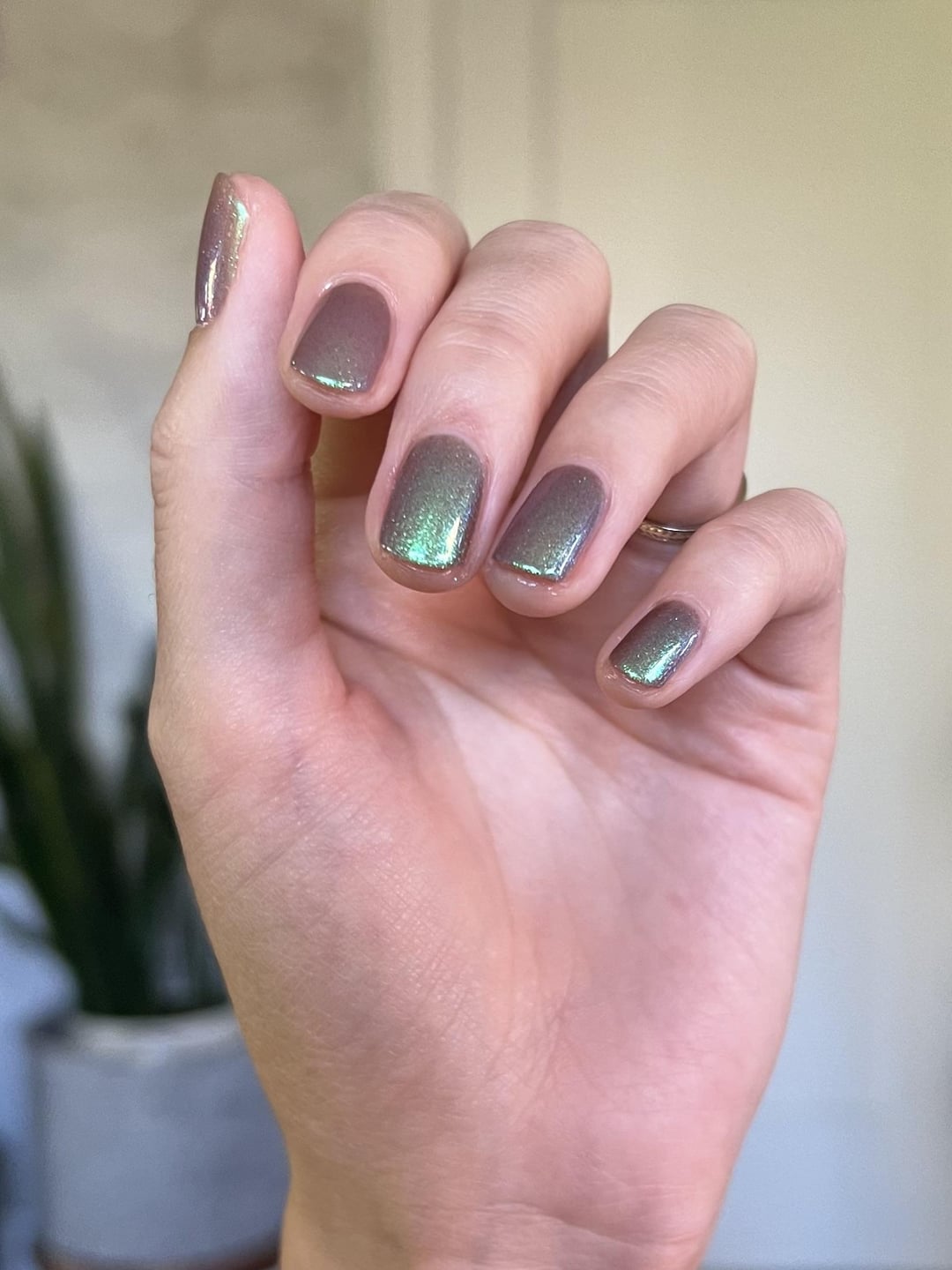 Glowy mocha n mint – COSMESTIC.COM ~ Beauty, Makup, and Cosmetics