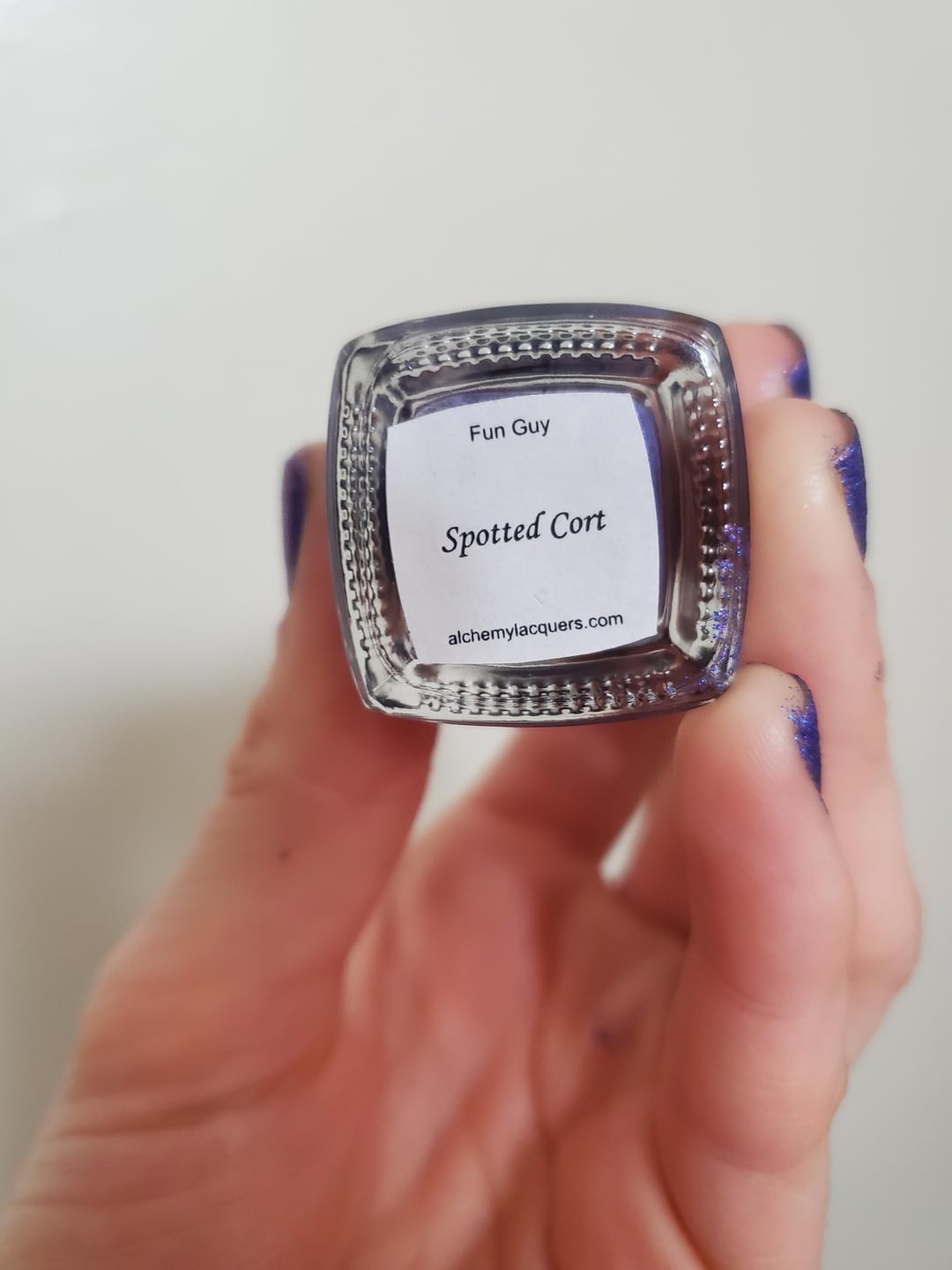 Spotted Cort – COSMESTIC.COM ~ Beauty, Makup, and Cosmetics