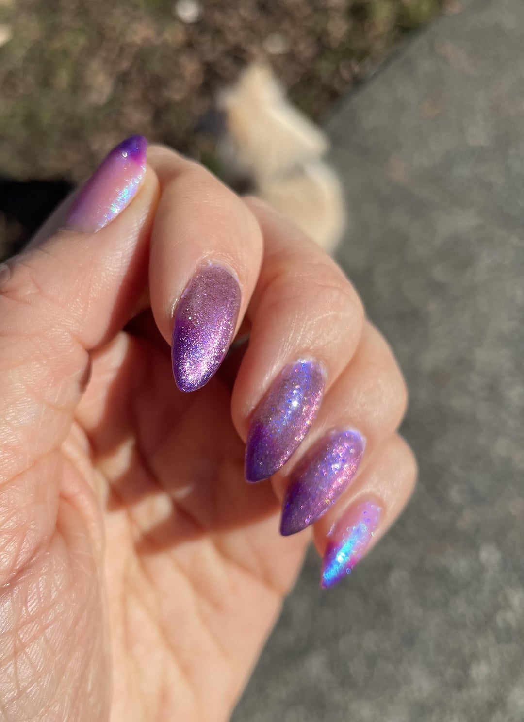 Fancy Gloss Thermal & Toppers - COSMESTIC.COM ~ Beauty, Makup, and ...