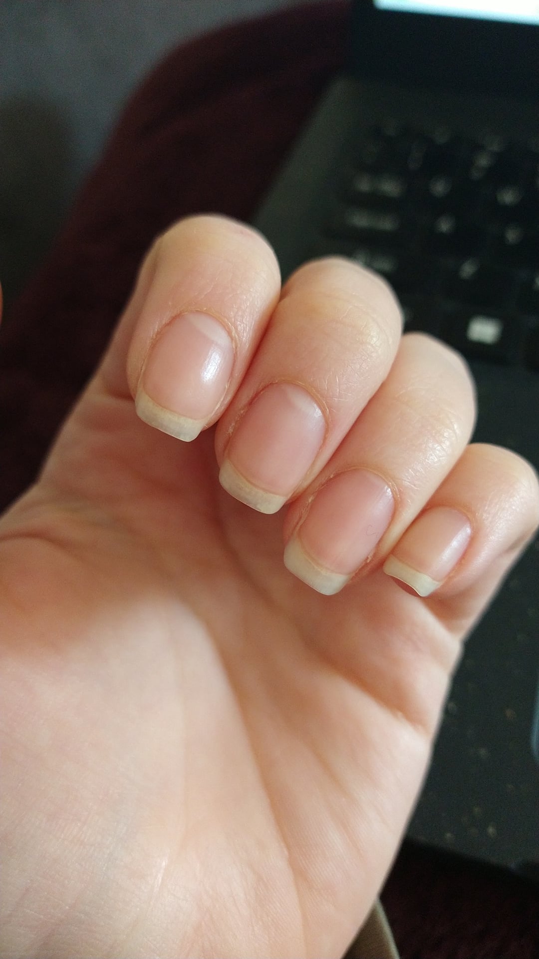 What started as an experiement has turned into the female equivalent of ...