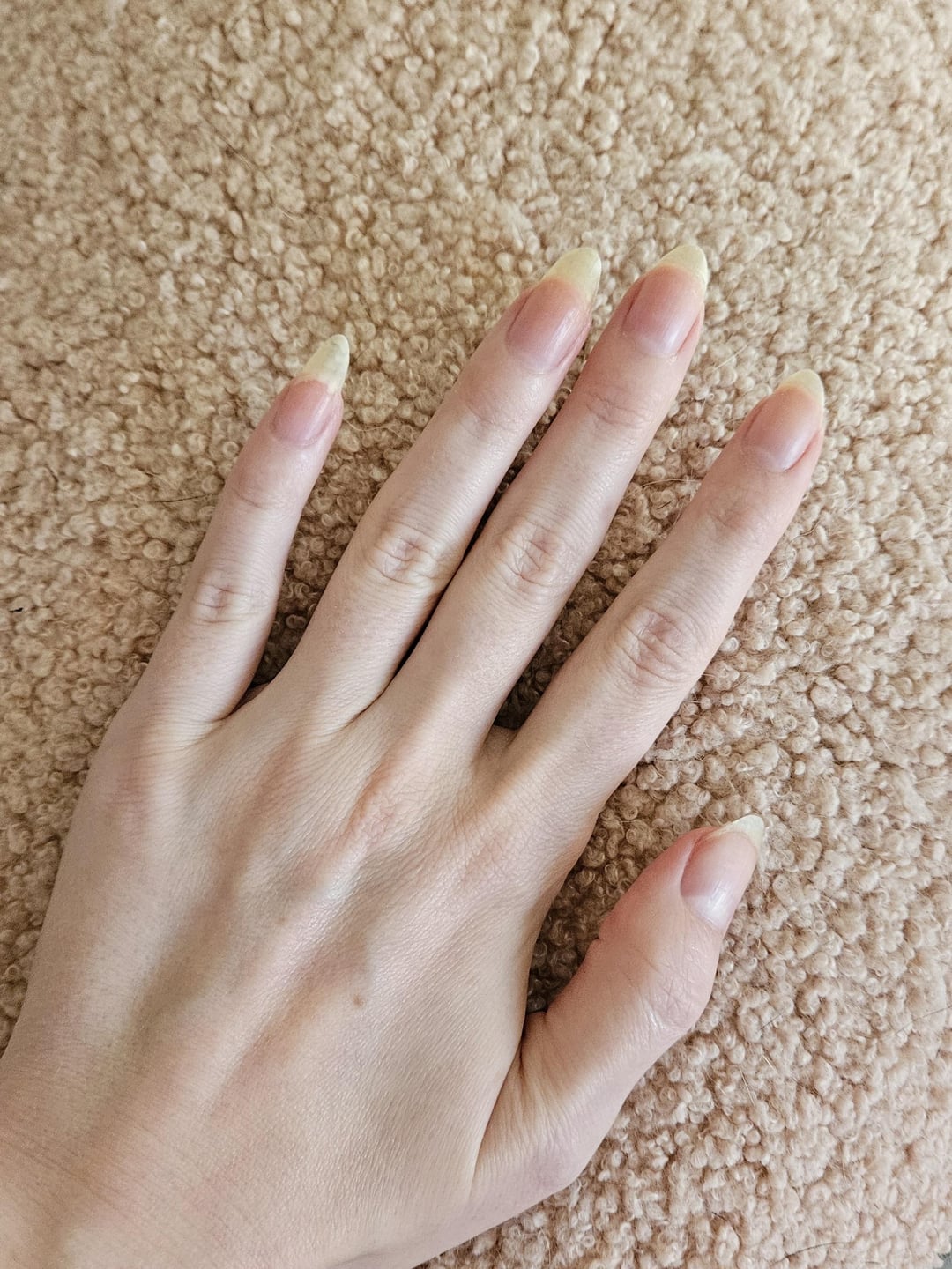 appreciation post for my bare nails, currently mourning the loss of my ...
