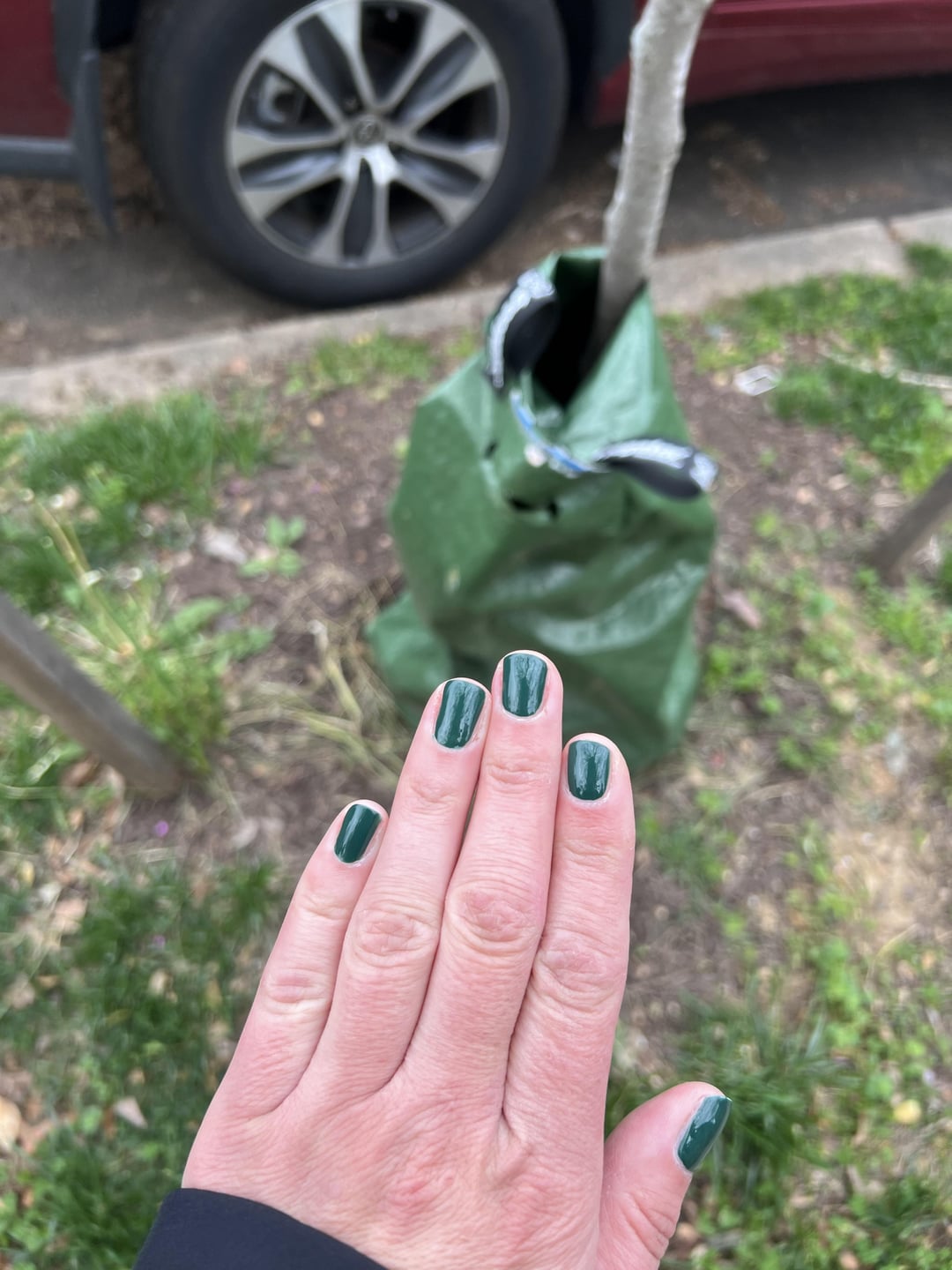 Leaf by Example (and some things that look like it) – COSMESTIC.COM ...