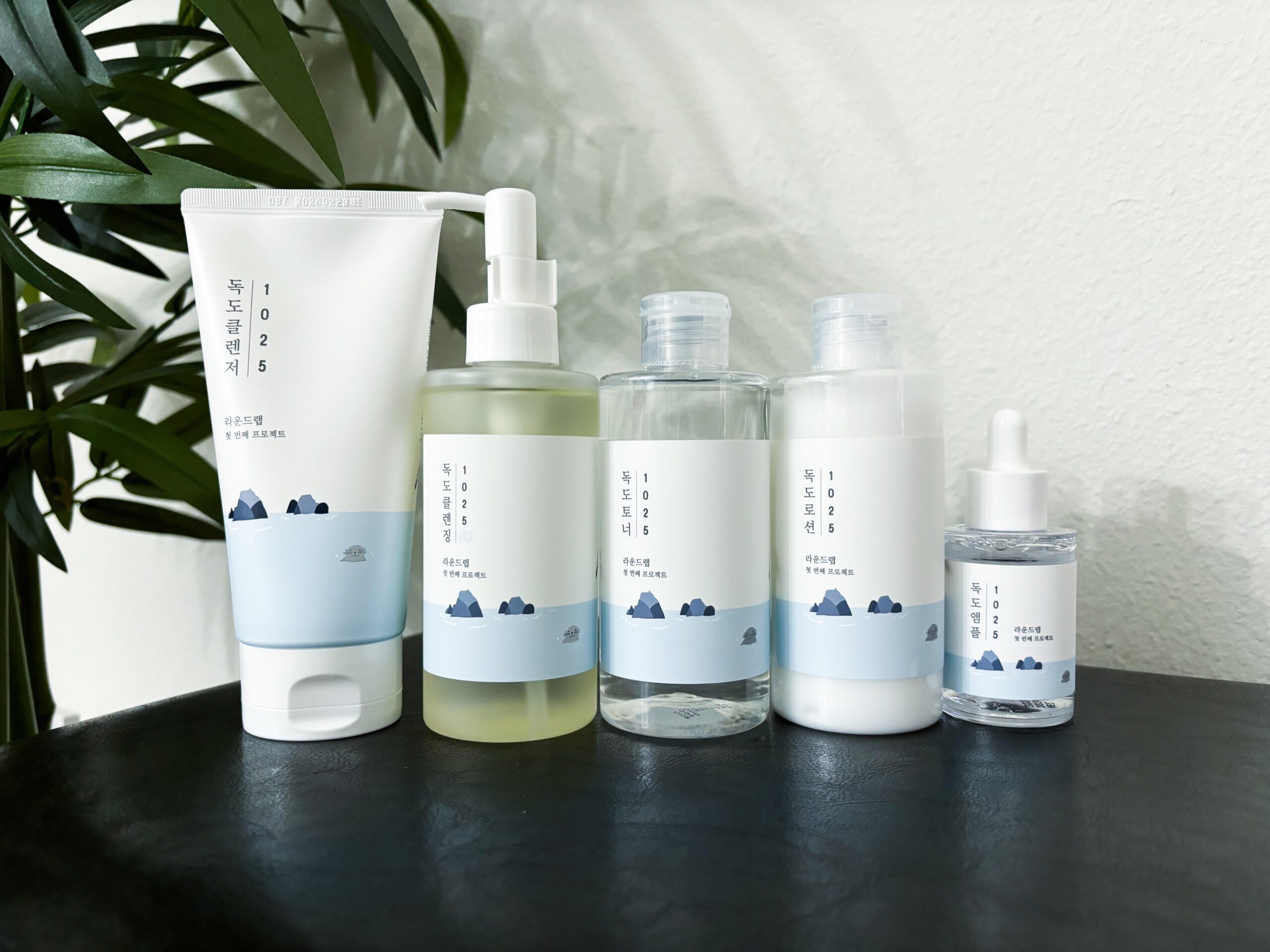 Round Lab Review – COSMESTIC.COM ~ Beauty, Makup, and Cosmetics