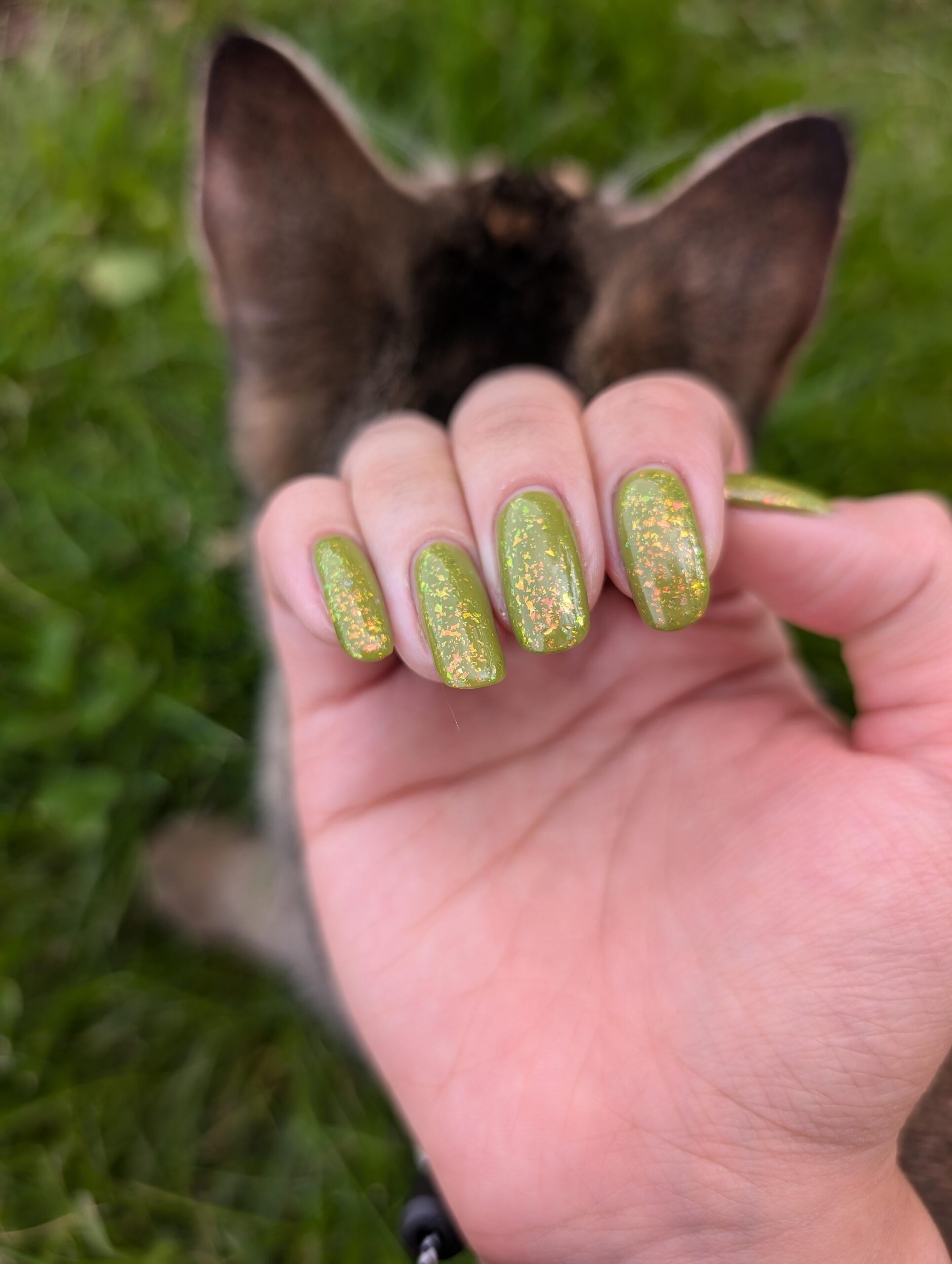 Shrek core – COSMESTIC.COM ~ Beauty, Makup, and Cosmetics